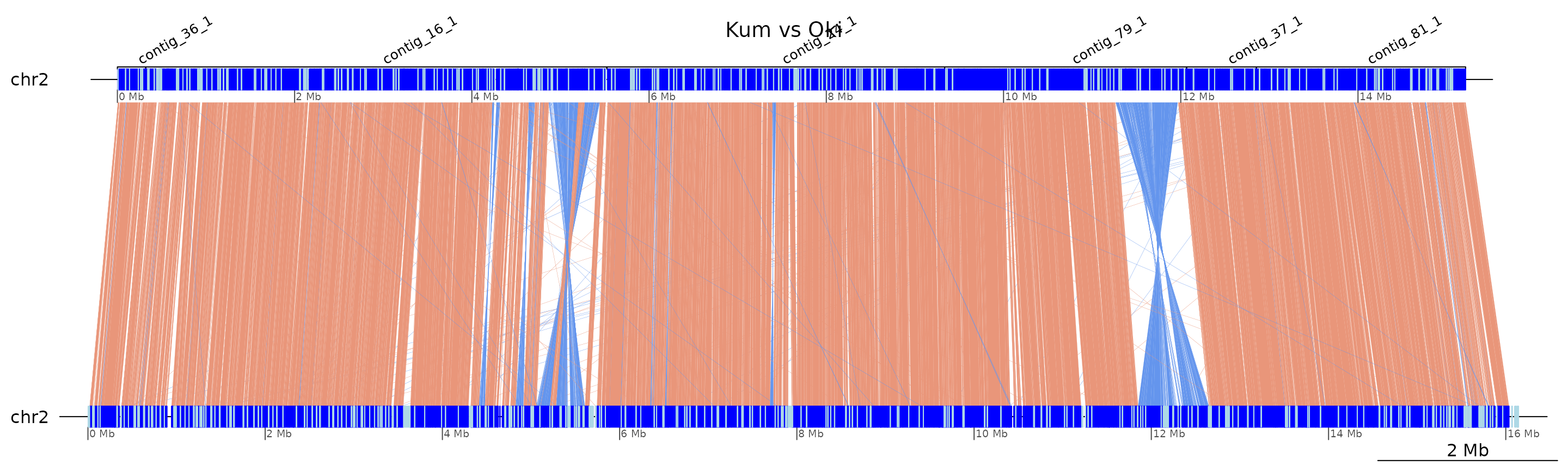 Whole-chromosome parallel plots • OikScrambling Whole-chromosome parallel plots • OikScrambling